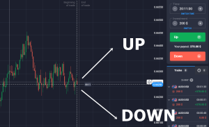 How to trade Binary Options | Beginners trading guide 2024