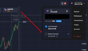 How to trade Binary Options | Beginners trading guide 2024
